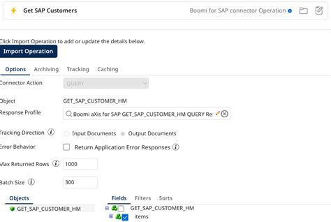 Article Recipe Connect Sap To Snowflake Boomi Community