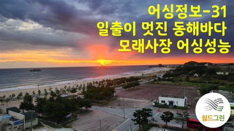 어싱정보 31 일출이 멋진 동해바다 모래사장 어싱성능 Youtube