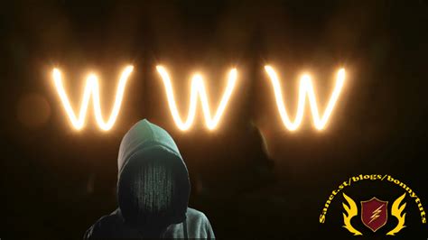 Web Application Hacking And Penetration Testing SoftArchive