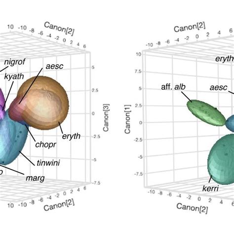 Multivariate Pattern Space Separates Pattern Types And Species Shown Download Scientific