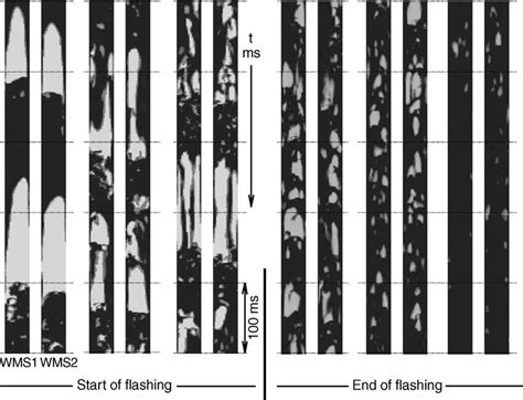 Void Fraction Measurements Performed With Two Wire Mesh Sensors Wms1 Download Scientific