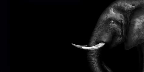 Configuring Statement Timeout In Postgresql For Optimal Performance