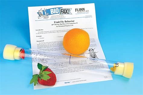 Flinnprep™ Inquiry Labs For Ap® Biology Fruit Fly Behavior Flinn Scientific