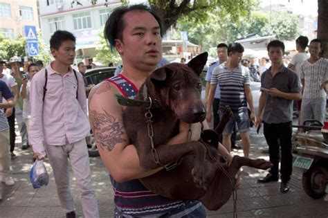 玉林狗肉节一场杀狗与救狗的角力 手机凤凰网