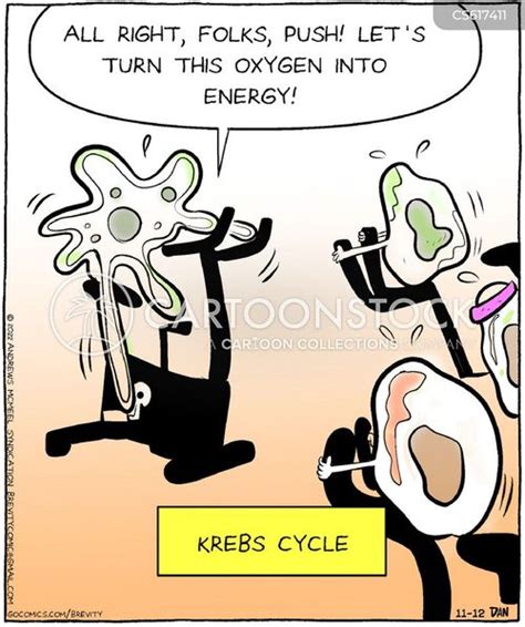 Cellular Respiration Cartoons And Comics Funny Pictures From Cartoonstock