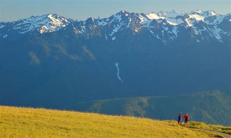 Hurricane Ridge Trails In Olympic National Park Alltrips