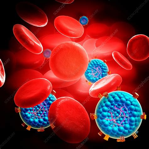 Hiv Particle Illustration Stock Image F018 0725 Science Photo Library