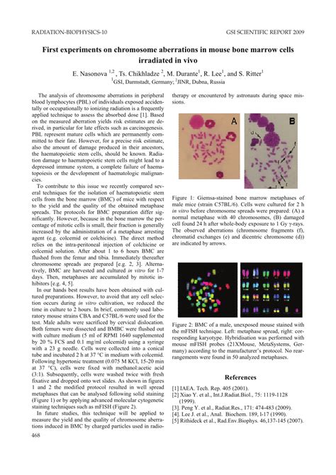 Pdf First Experiments On Chromosome Aberrations In Mouse Bone Marrow