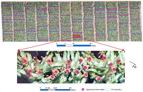 Figure 1 From A Deep Learning Semantic Segmentation Based Approach For