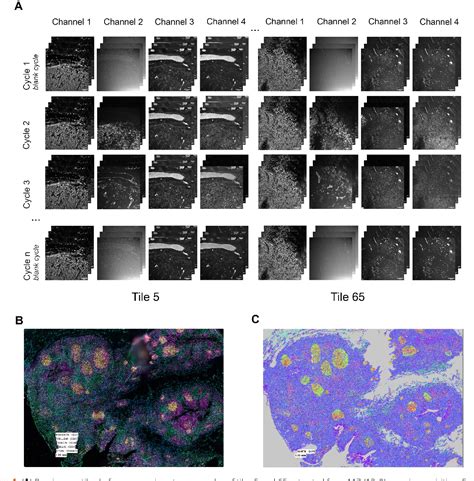 Figure 1 From A Flexible Open Source Processing Workflow For
