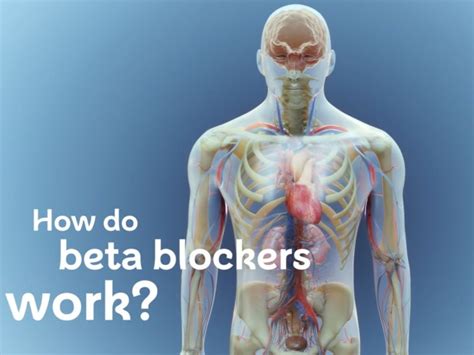 Beta Blocker Side Effects Are They A Trick Of The Mind Bhf