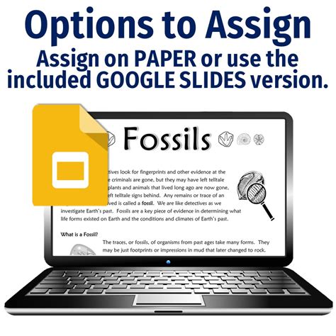 Fossils Reading And Worksheet Flying Colors Science