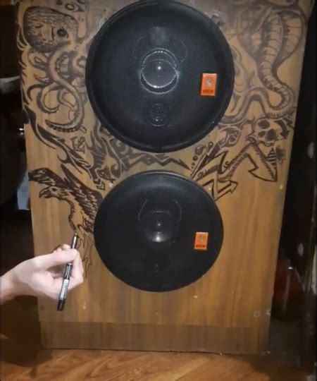 Ways How To Hide Large Speakers In Living Room HomeProfy