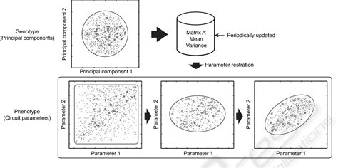 Figure 1 From Automated Sizing Of Analog Circuits Based On Genetic Algorithm With Parameter