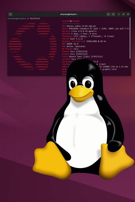 Best 13 Installing And Running Fastfetch On Linux Artofit