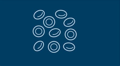 Bcma Targeted Bispecific Antibodies Are ‘encouraging For Some With Myeloma