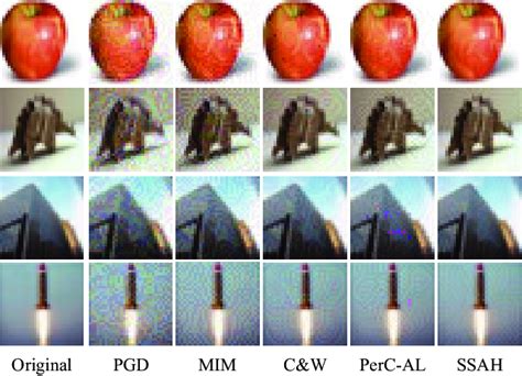 Adversarial Examples Generated By Five Different Attack Approaches On