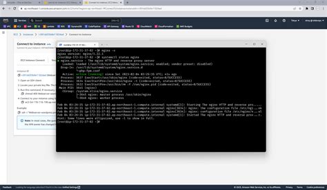 Triển Khai Dự án Trên Aws Elroydevops