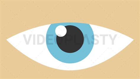Eye Blinking Royalty Free Stock Animation Videoplasty