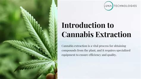 PPT Introduction To Cannabis Extraction PowerPoint Presentation Free