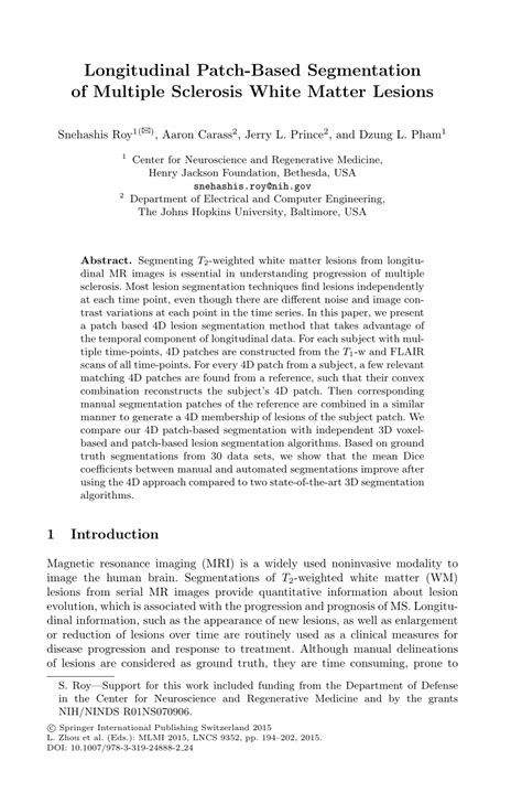Pdf Longitudinal Patch Based Segmentation Of Multiple Sclerosis White
