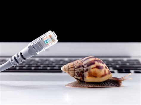 The Best Use Of A Raspberry Pi Is To Spam Rubbish Isps