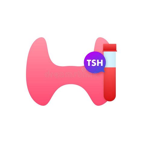 Infographic With Thyroid Stimulating Hormone Thyroid Stimulating Hormone Vector Illustration