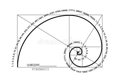 Fibonacci Spiral Vector