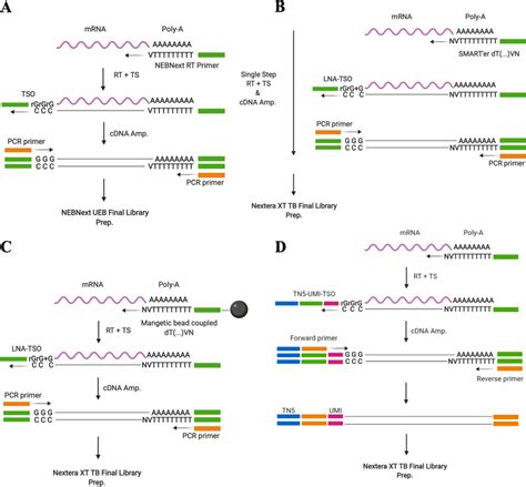 Illustration Of The Four ScRNA Seq Protocols Applied In This Study A