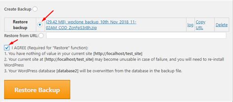 How To Clone Wordpress With Wp Clone In A Single Click Codeastrology