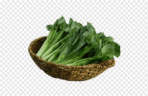 녹색 양배추 양배추의 바구니에 중국 브로콜리 양배추 브라 시카 Juncea Rutabaga 잎 야채 음식 레시피 Png