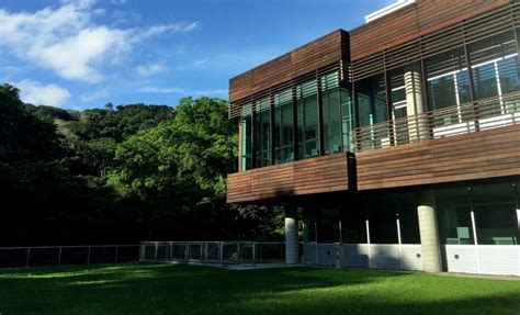 Research Sensory And Cognitive Ecology Lab