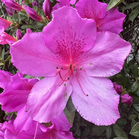 Basalt Police Department And Basalt Pd Retains The Title 👏🏼 For The