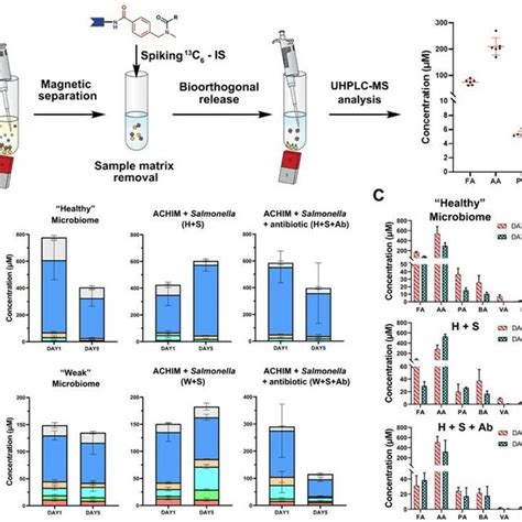 Scfas Quantification A Quantification Of Scfas In The Random Download Scientific Diagram