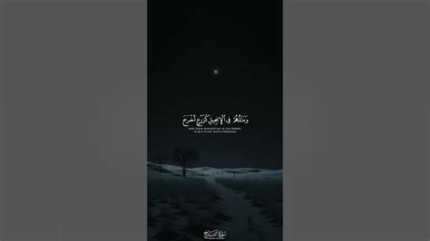 محمد رسول الله والذين معه أشداء على الكفار رحماء بينهم بصوت الشيخ أ د ياسر الدوسري• سورة