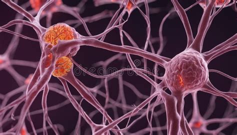 Neural Network In Action A Microscopic View Of Neurons Stock Illustration Illustration Of