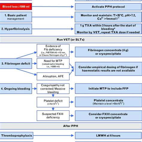 Suggested Haemostatic Treatment Algorithm In Pph Download Scientific