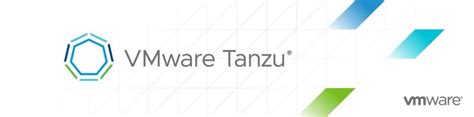 Introducing Tanzu Data Management Console 1 1 Enterprise Grade