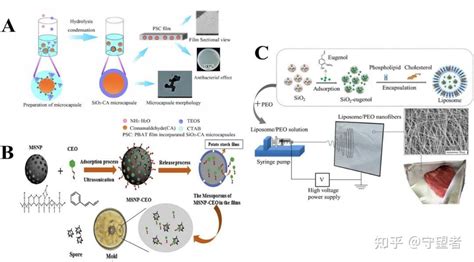 Trends In Food Science And Technology：sio2纳米颗粒微粒在可降解包装膜涂层功能中的作用及其在食品保鲜中