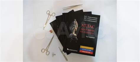 Атлас анатомии человека синельников в 4 х томах книги... купить в Белой ...