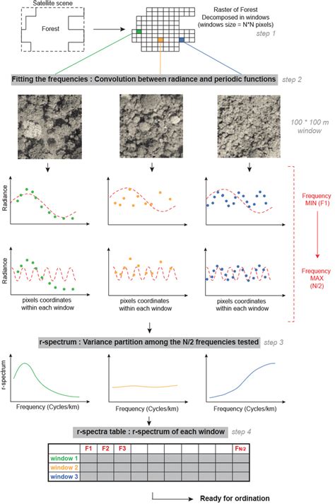 Flowchart Of The Method Step1 Fourier Textural Ordination Foto Of Download Scientific