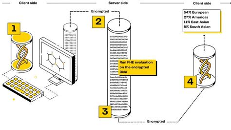 More Fhe And Ml Combinations Nigel Smart