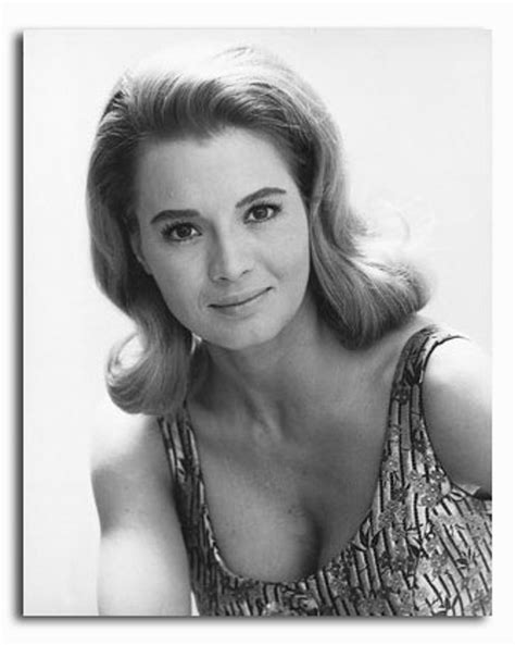 Ss3104179 Movie Picture Of Angie Dickinson Buy Celebrity Photos And