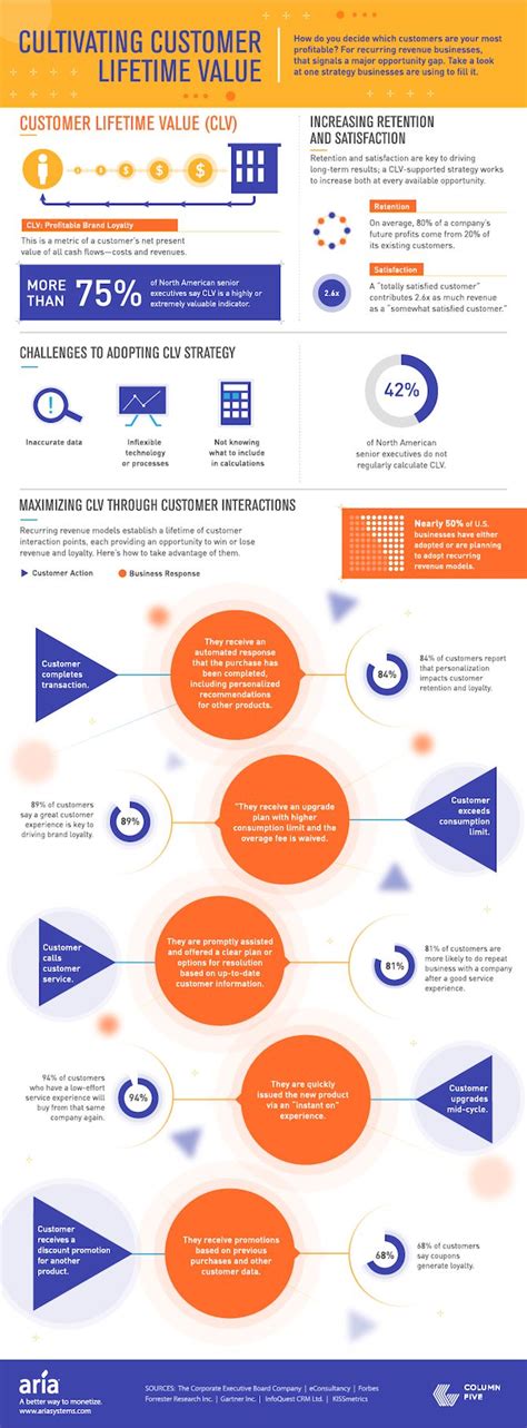 A Visual Introduction To Customer Lifetime Value Infographic