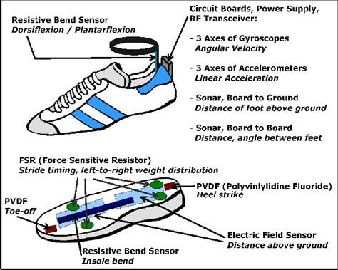 Shoe Store Gait Analysis At Tawny Dunn Blog