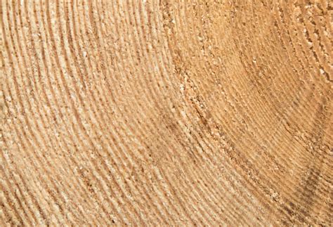 「jjjj」の写真素材 16件の無料イラスト画像 Adobe Stock