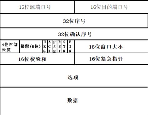传输层之TCP与UDP协议socket模块 知了了了了 博客园