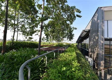 Green Canopy By Garis Architects Spans A Community Centre