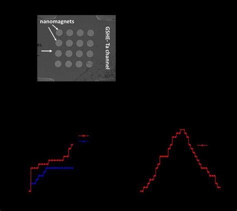 A Scanning Electron Microscope Sem Image Of Our Sot Based Synapse Download Scientific