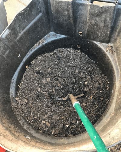 How To Compost Simple Steps Artofit